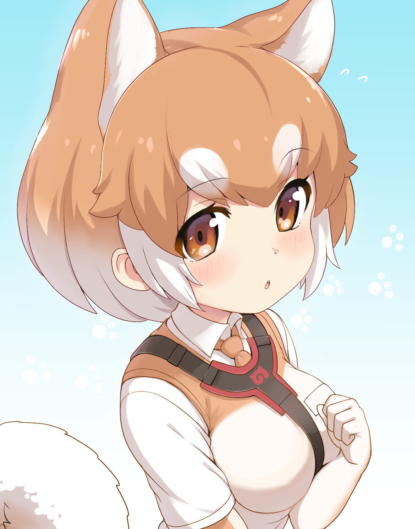Blush [Kemono Friends] : r/awwnime