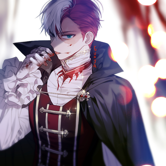 Prince Todoroki [BnHA] : r/bishounen