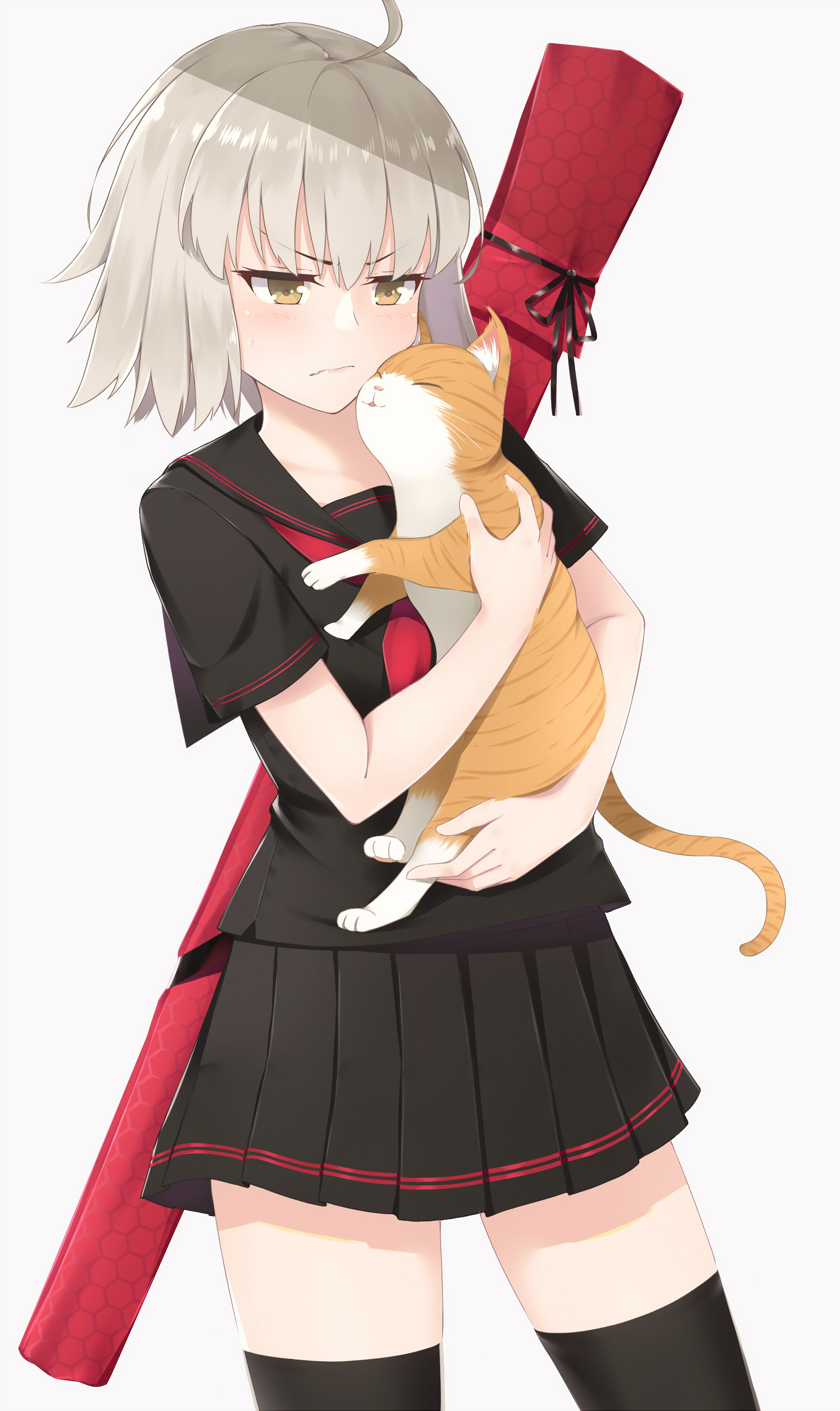 A cat [Fate/Grand Order] : r/awwnime