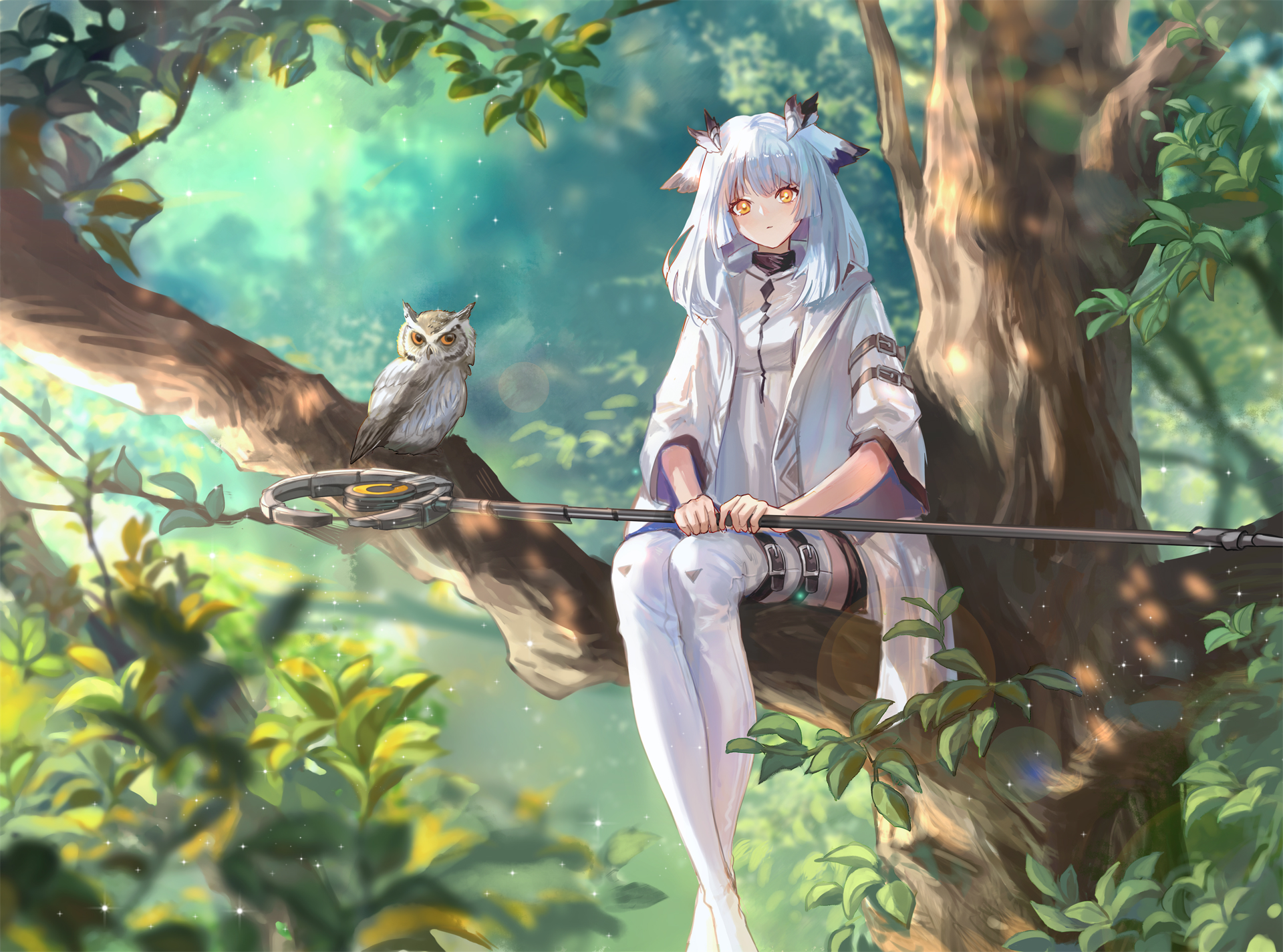 Ptilopsis [Arknights] : r/fantasymoe