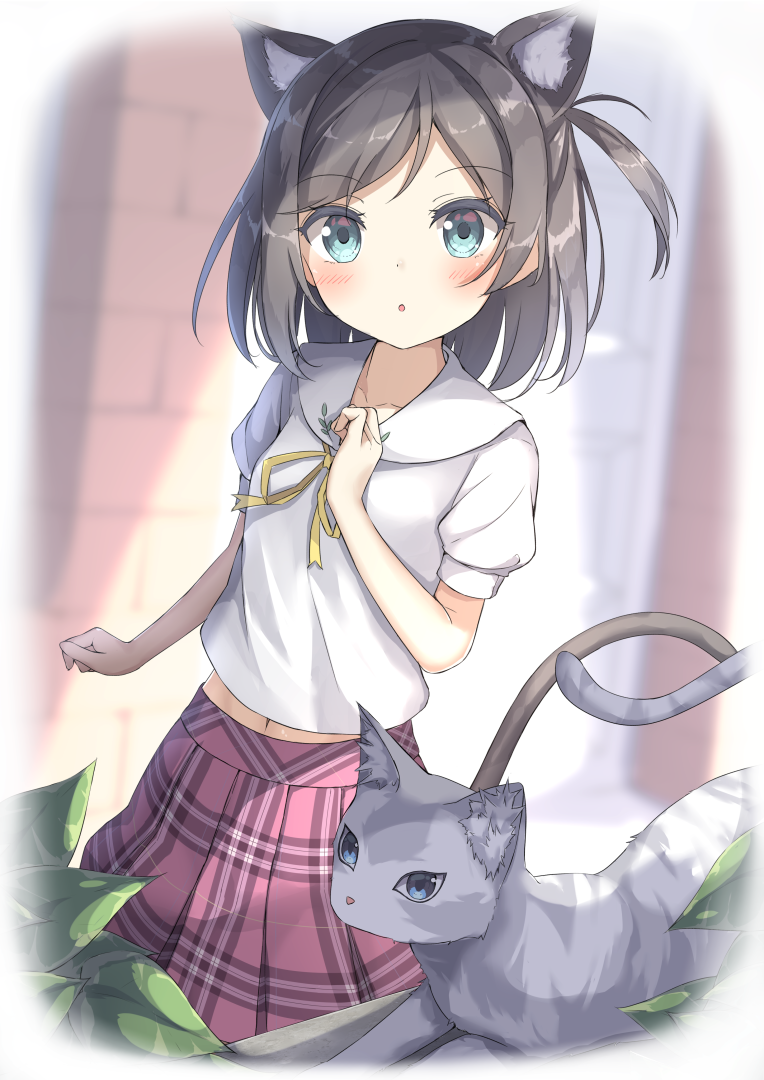 two cats on a walk [Hentai Ouji to Warawanai Neko] : awwnime