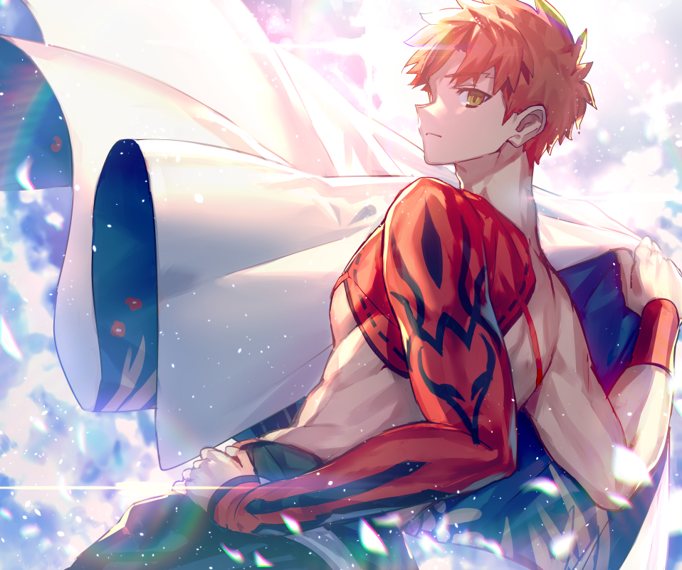 Shirou [Fate/] : r/bishounen
