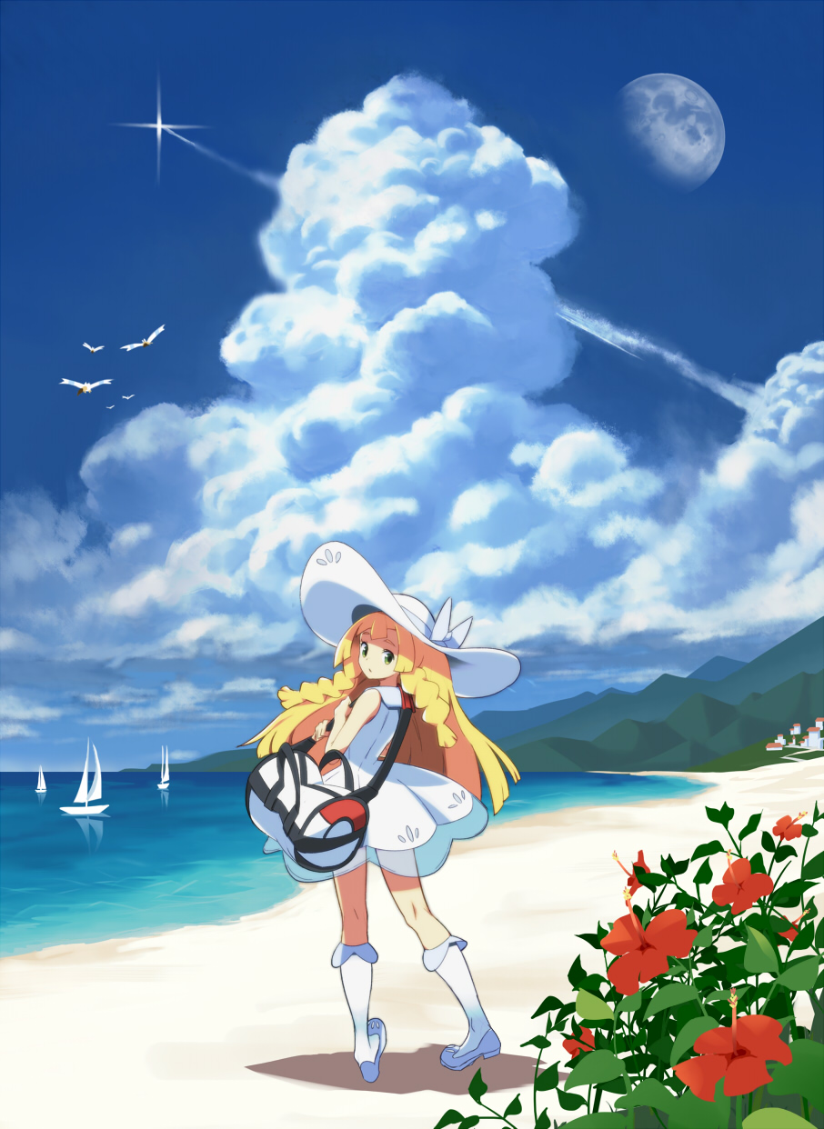 A Nice Stroll on the Beach [Pokemon Sun & Moon] : r/awwnime