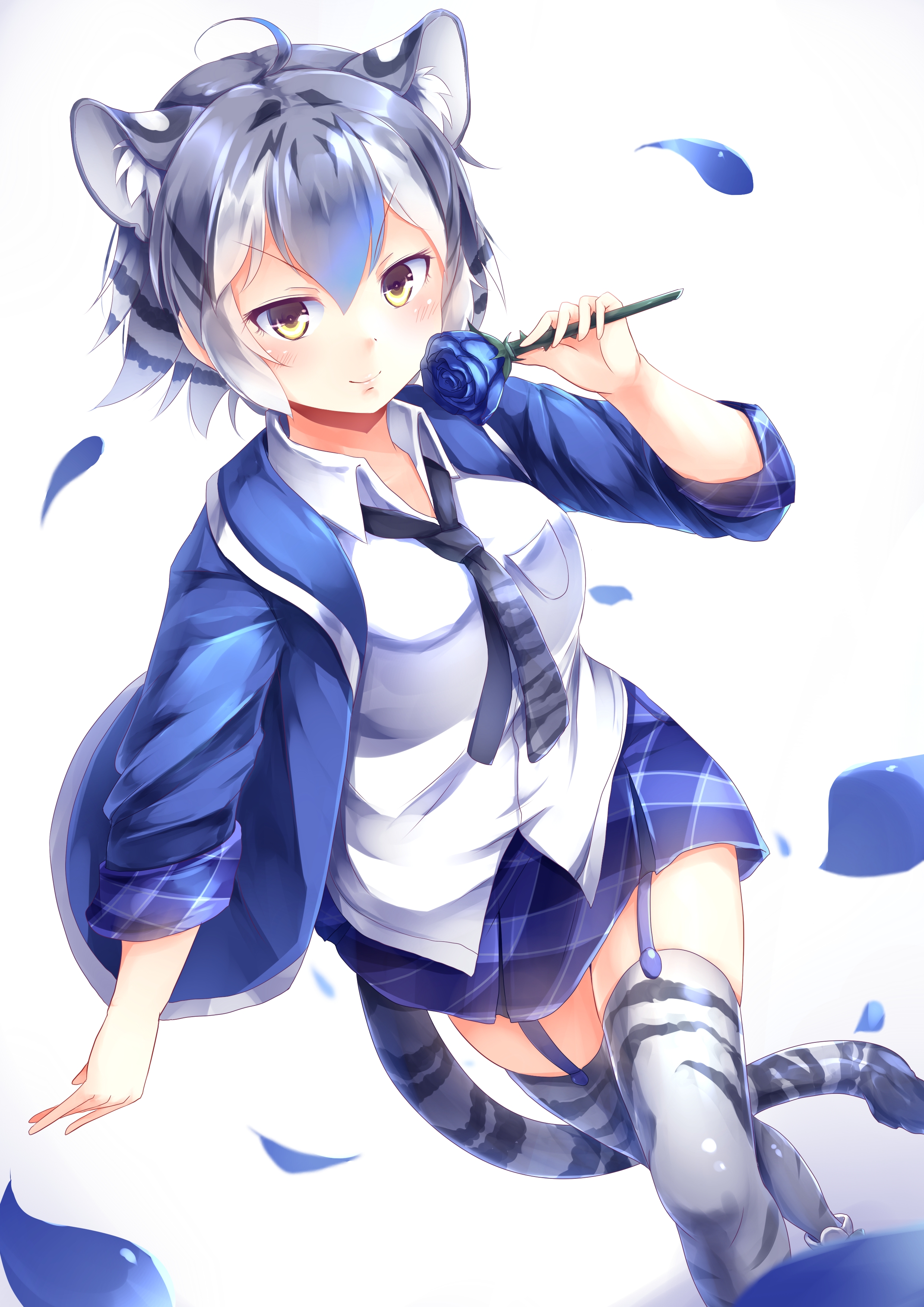 A tiger of different stripe. [Kemono Friends] : r/kemonomimi