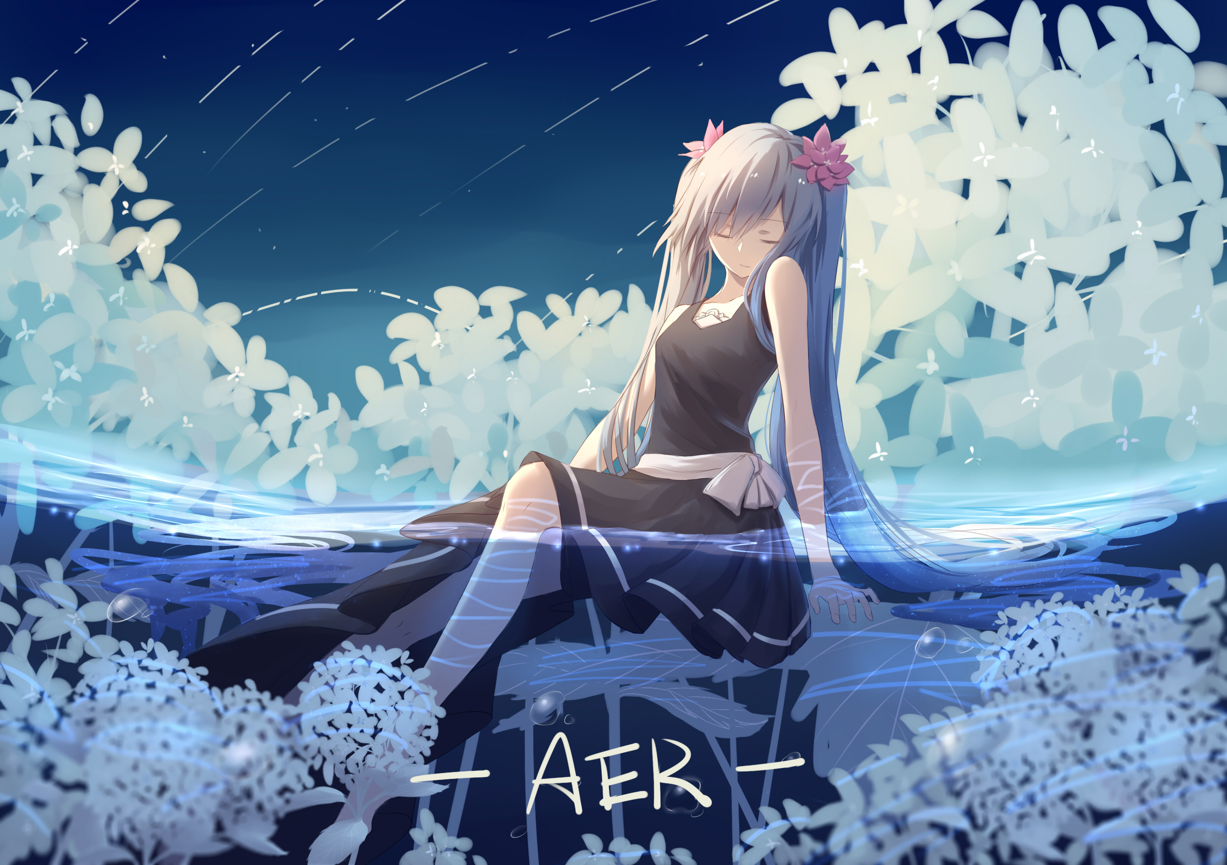 AER : r/hatsune