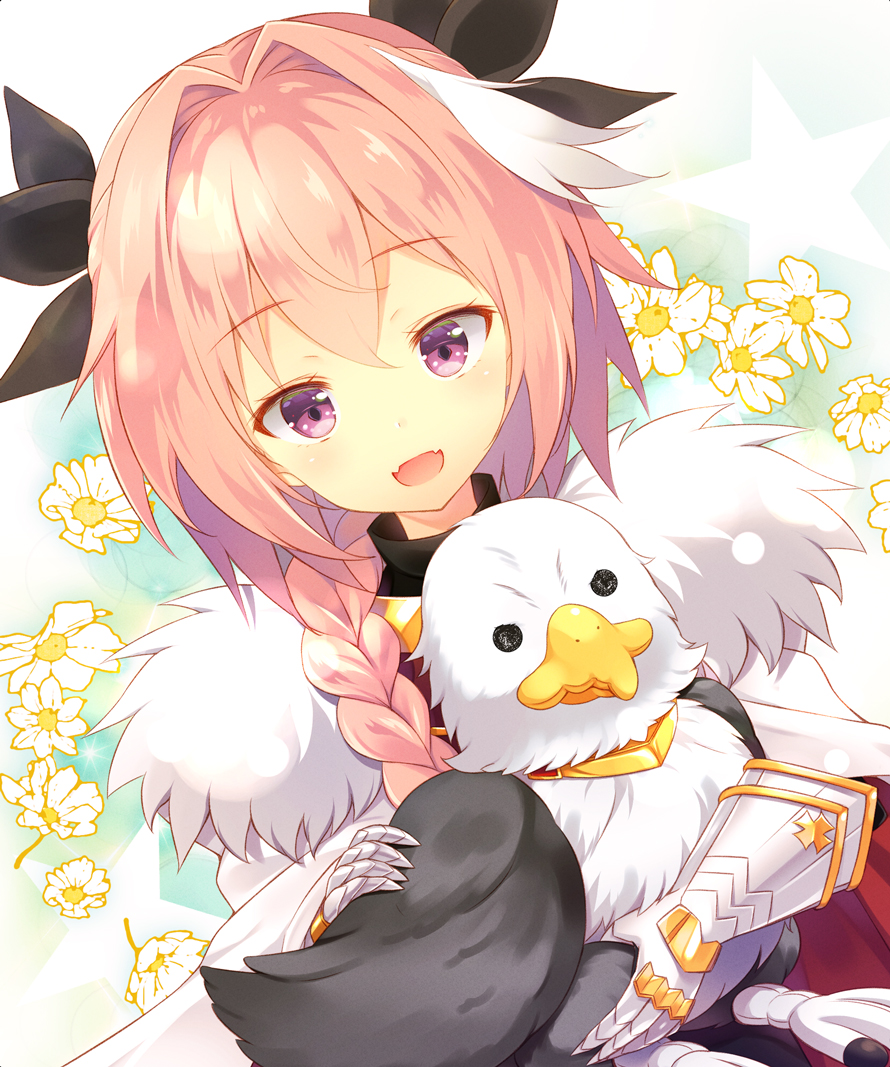 Pet eagle [Fate] : r/awwnime